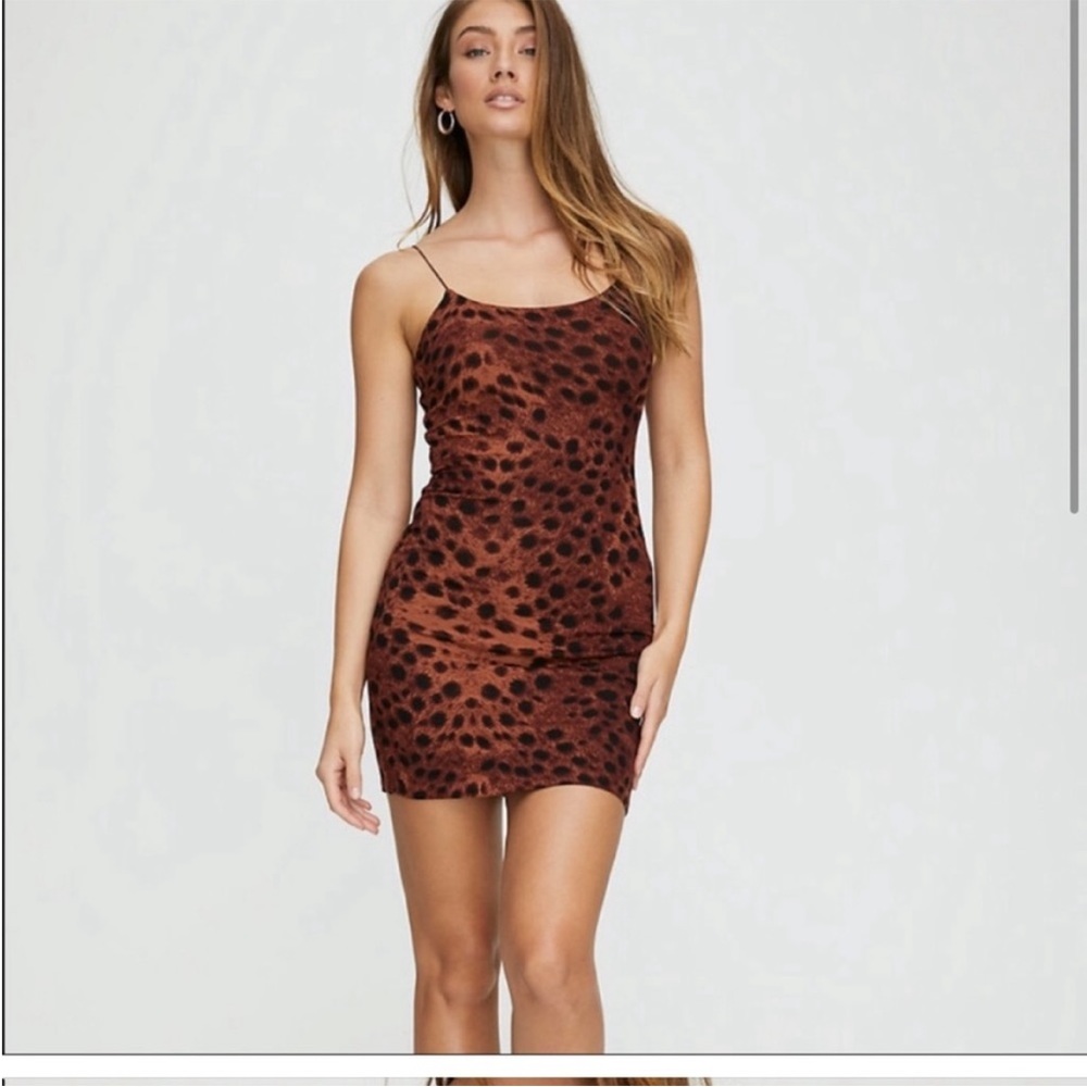 Aritzia Cheetah Print Dress - Gem